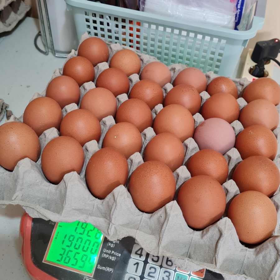 Jual TELUR AYAM 1 TEPLEK 30 BUTIR | Shopee Indonesia