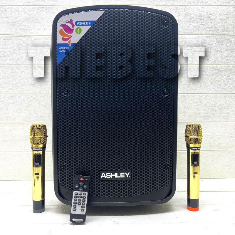 Jual Speaker Portable Wireless Ashley IR 500 Original 12 inch Bluetooth ...