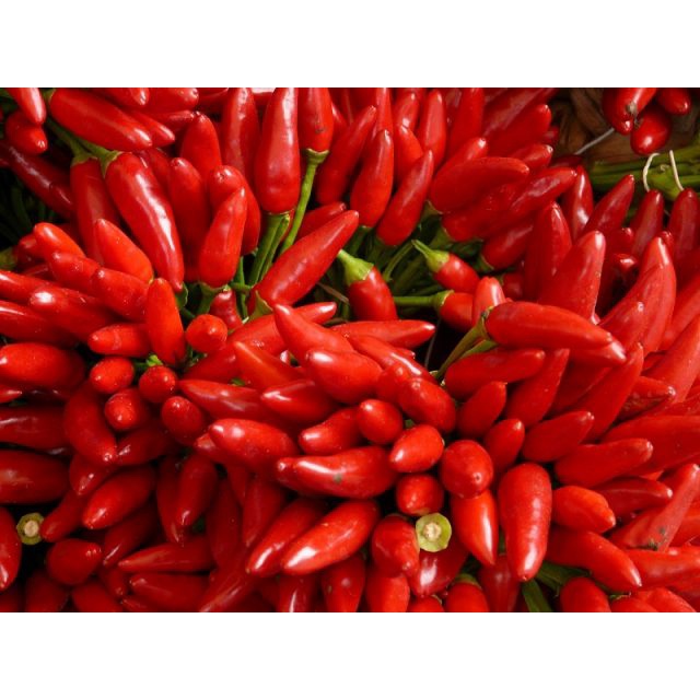 Jual Cabai Cabe Rawit Merah FULL Red Bird's Eye Chili Padi 1 kg ...