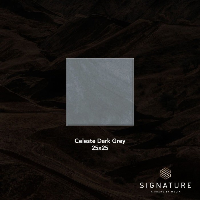 Jual KERAMIK 25X25 CELESTE DARK GREY MATT - MULIA TILE | Shopee Indonesia