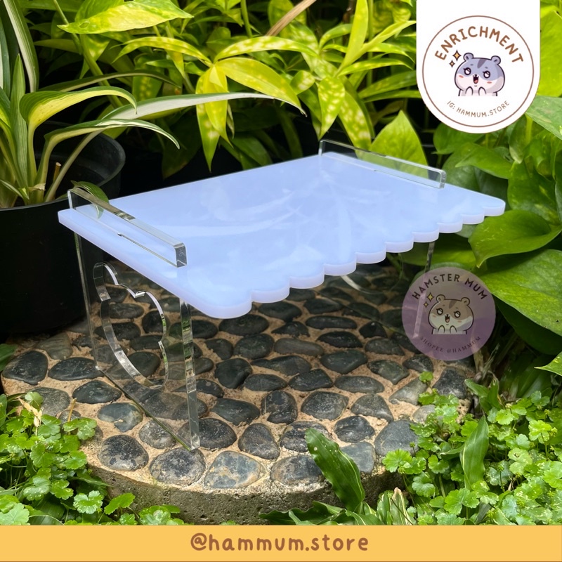 Jual Platform Hamster Akrilik | Meja Akrilik Hamster | Meja Hamster ...
