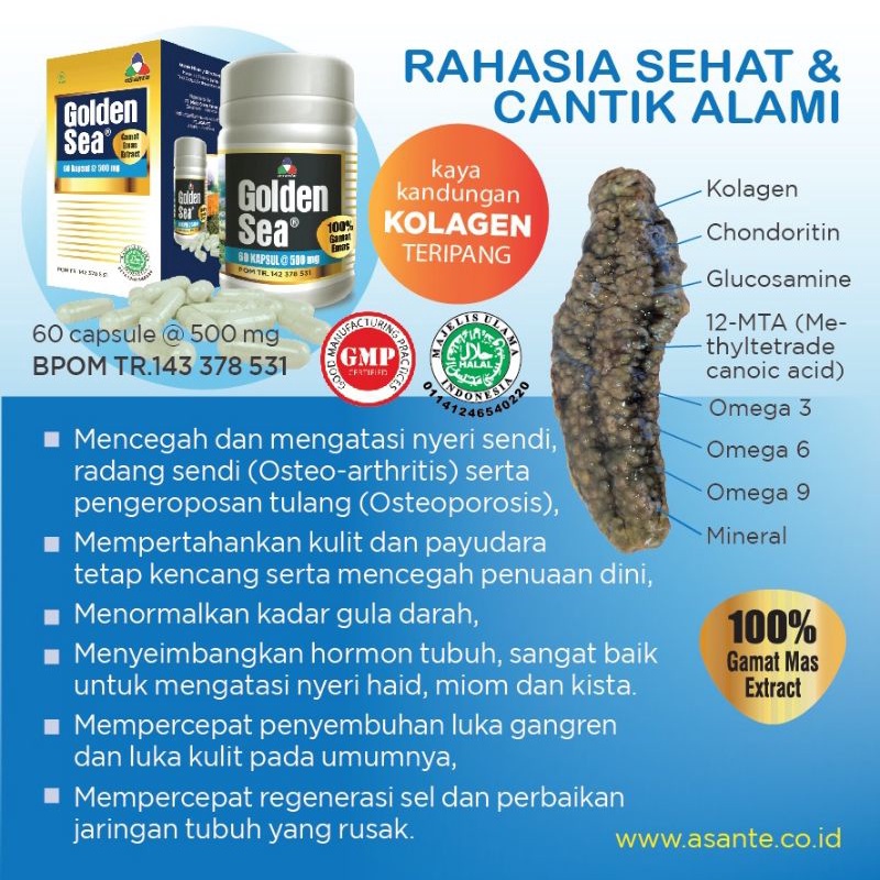 Jual Obat Herbal Golden Sea 100 % Gamat Mas Extract Kolagen Tripang 60 ...