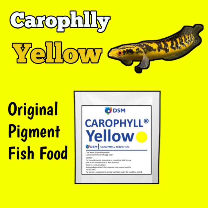 Jual Carophlly YELLOW France 100% original varian colour YELLOW caropil ...
