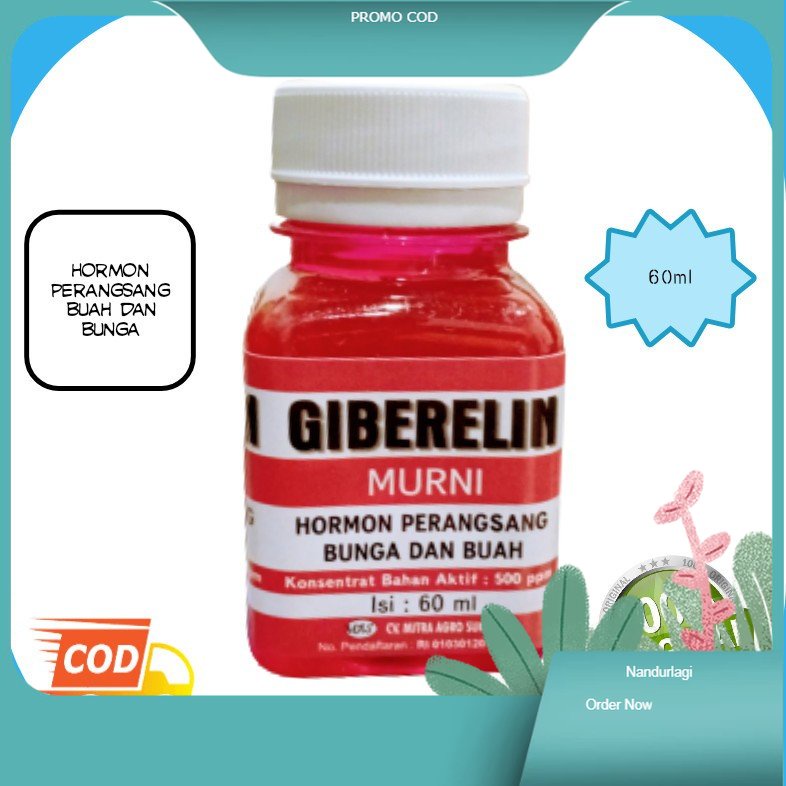Jual Promo Hormon giberelin untuk mempercepat pertumbuhan buah dan ...
