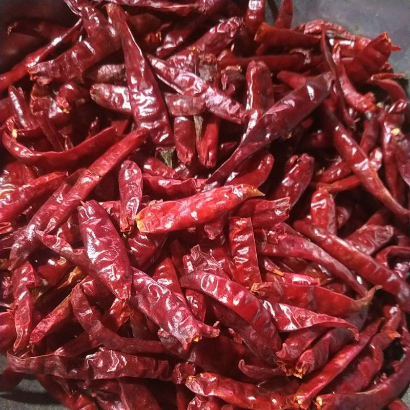 Jual Cabe kering kecil india tanpa tangkai 250gr/500gr/1kg | Shopee ...