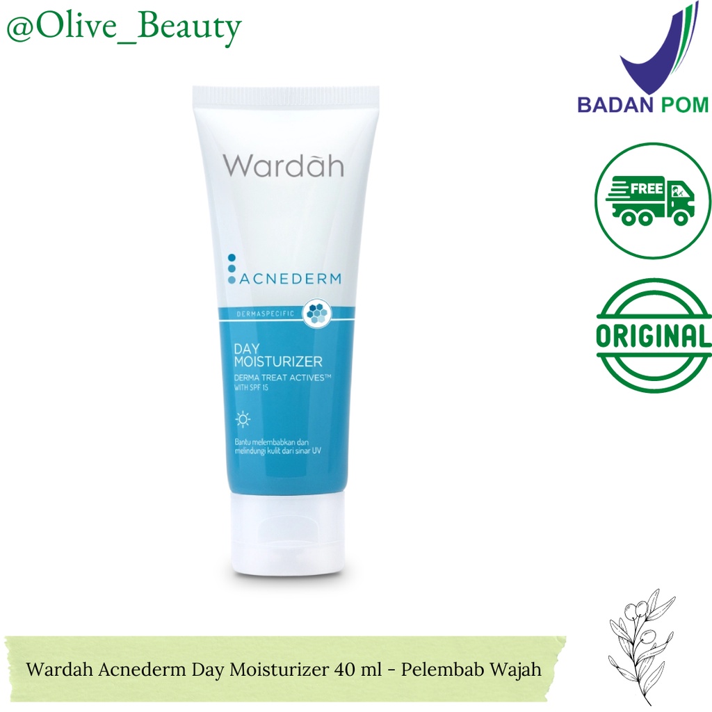 Jual Wardah Acnederm Day Moisturizer 40 ml - Pelembab Wajah | Shopee ...