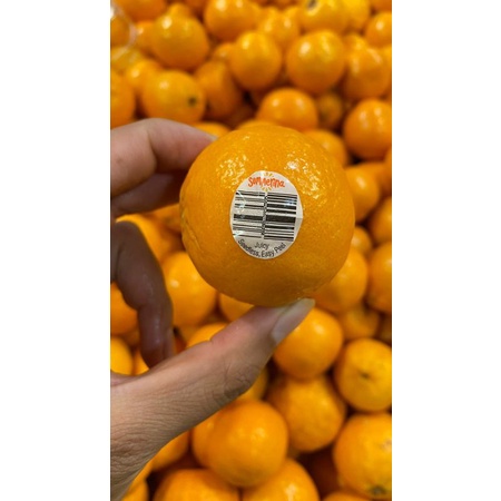 Jual jeruk summerina mandarin Australia juicy & seedless 1 kg | Shopee ...