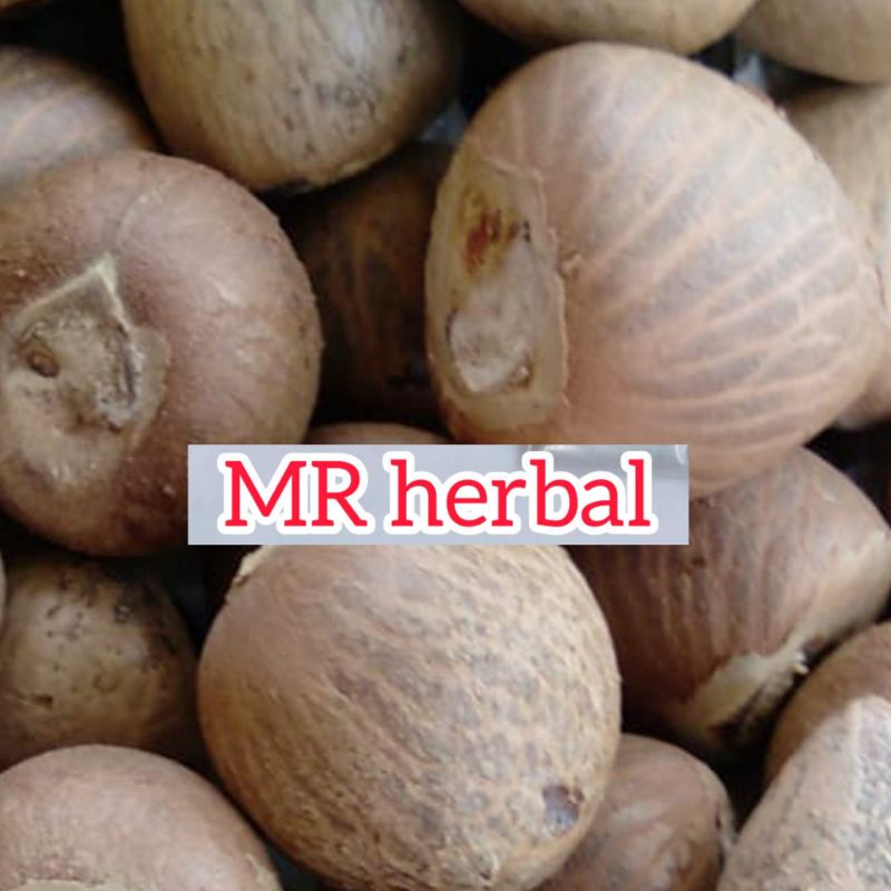 Jual Biji buah pinang tua kering atau biji buah jambe tua | Shopee ...