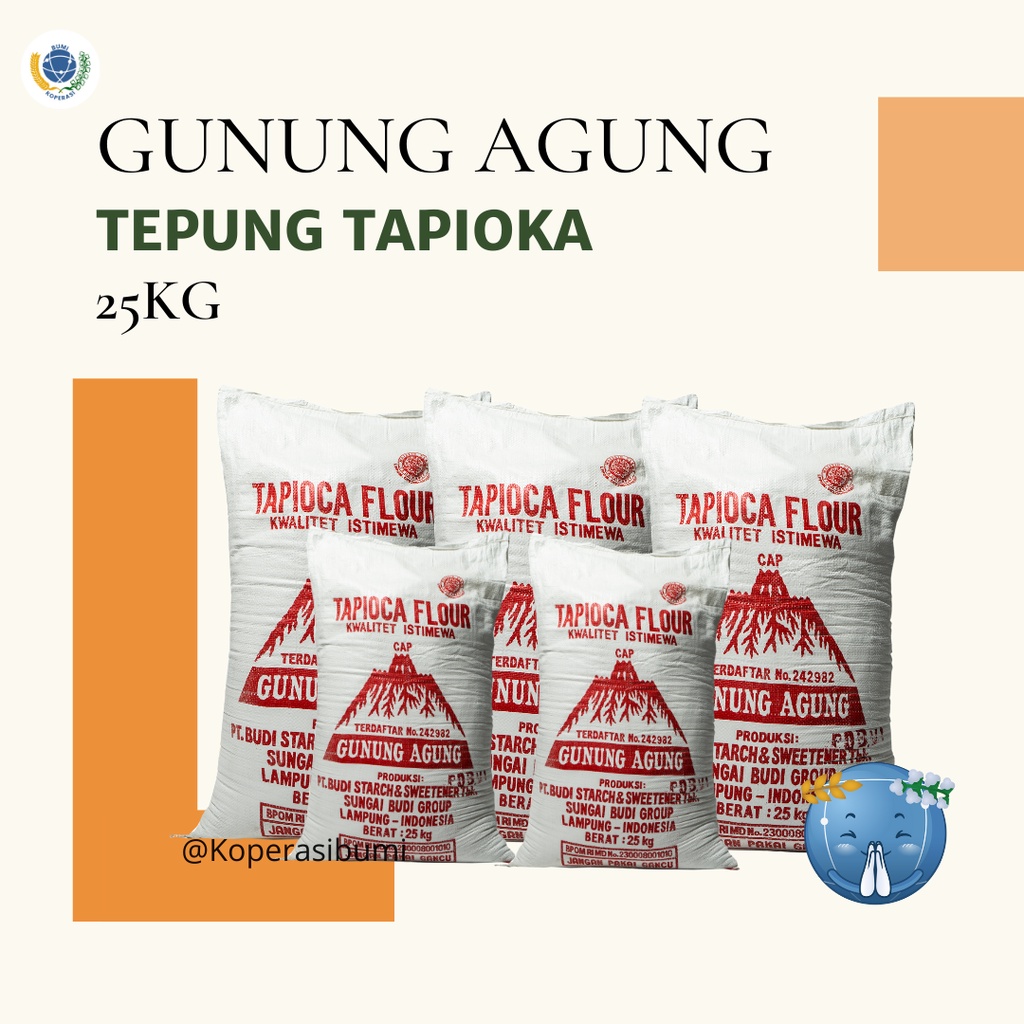 Jual Tepung Tapioka / Aci Gunung 25 Kg | Shopee Indonesia