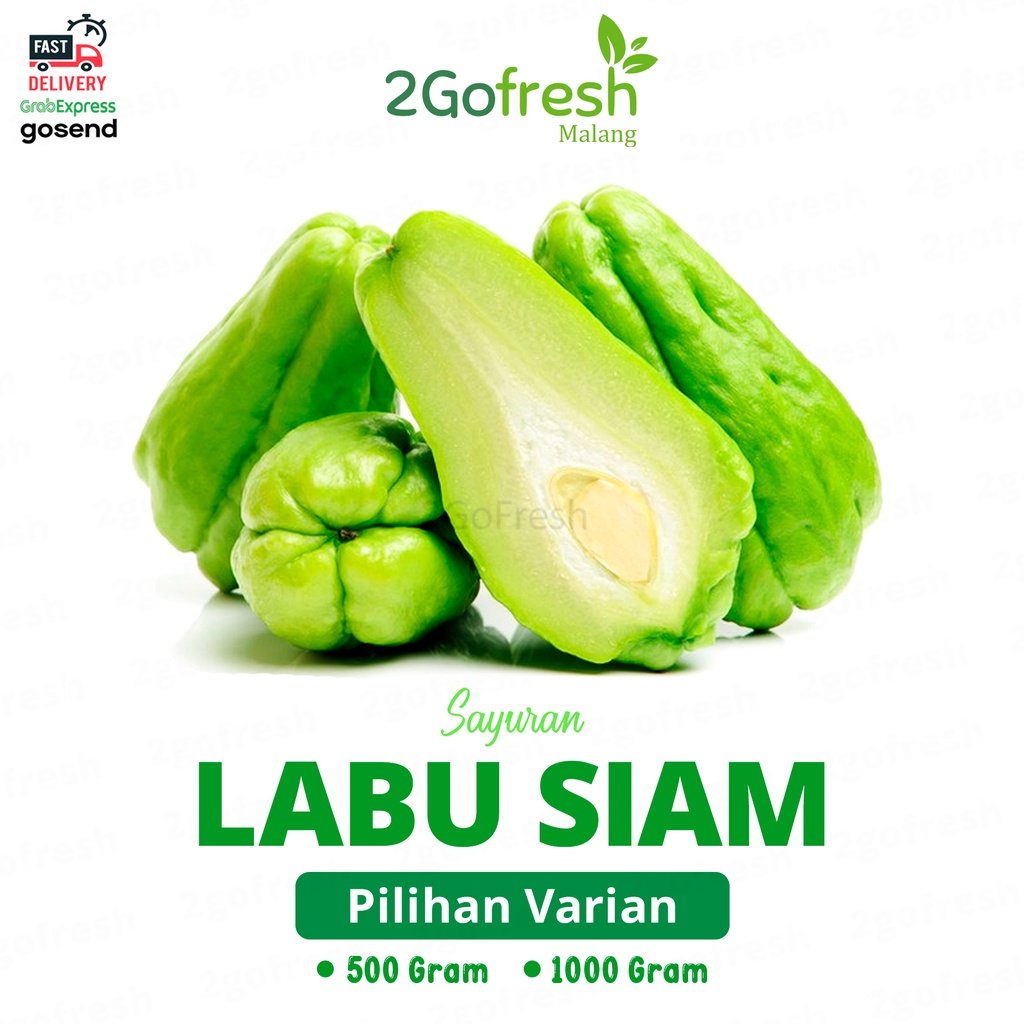 Jual Labu Siam/ Manisa + Rajang/ Serut Fresh - Sayur Sayuran | Shopee ...