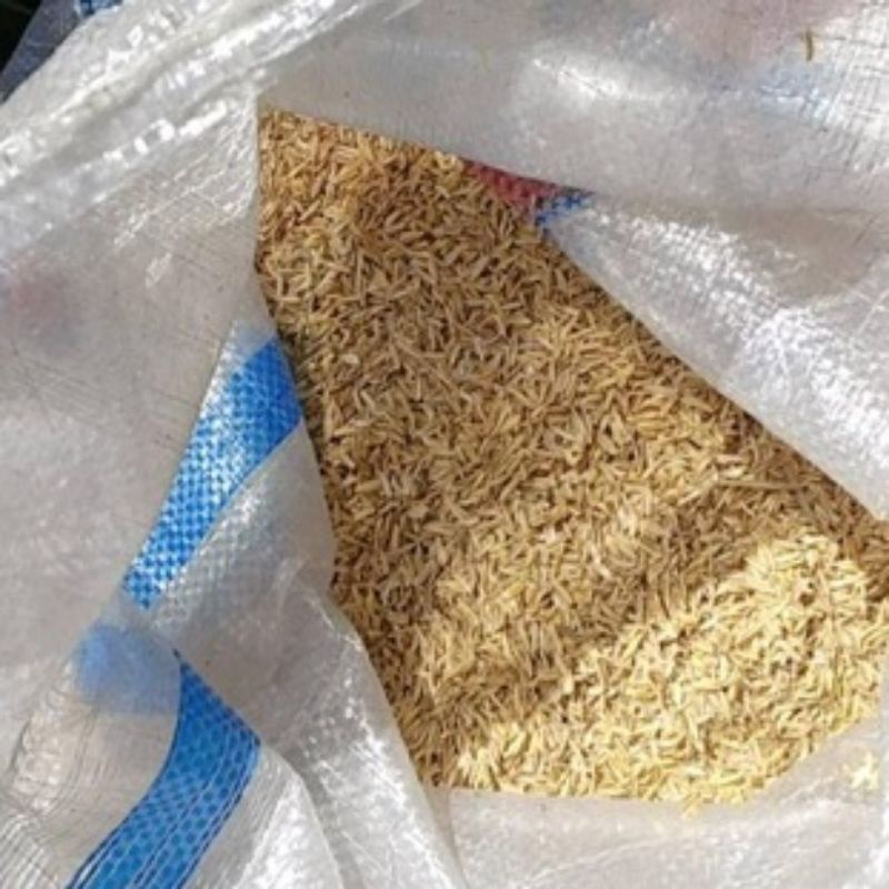 Jual Sekam Mentah Kulit Padi Sekam Murni Untuk Media Tanam | Shopee ...