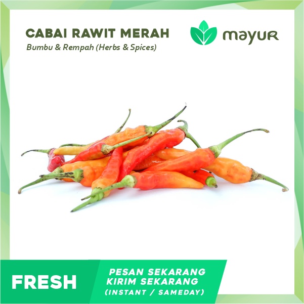 Jual Cabai Rawit Merah Segar (100 gr | 200 gr | 500 gr) | Shopee Indonesia