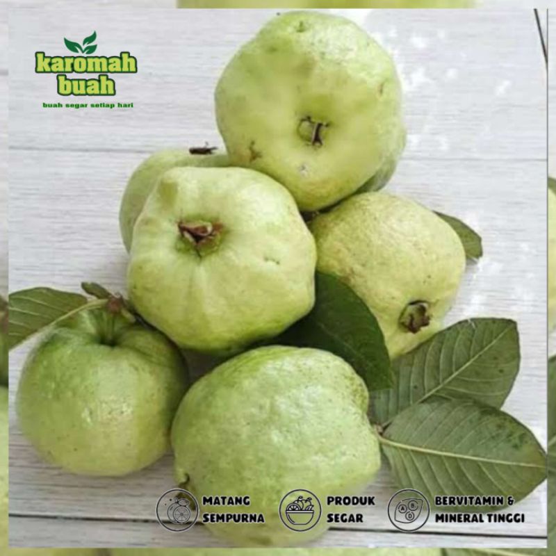 Jual BUAH JAMBU KRISTAL 1 KG JAMKIS PUTIH / JAMBU BIJI KRISTAL | Shopee ...