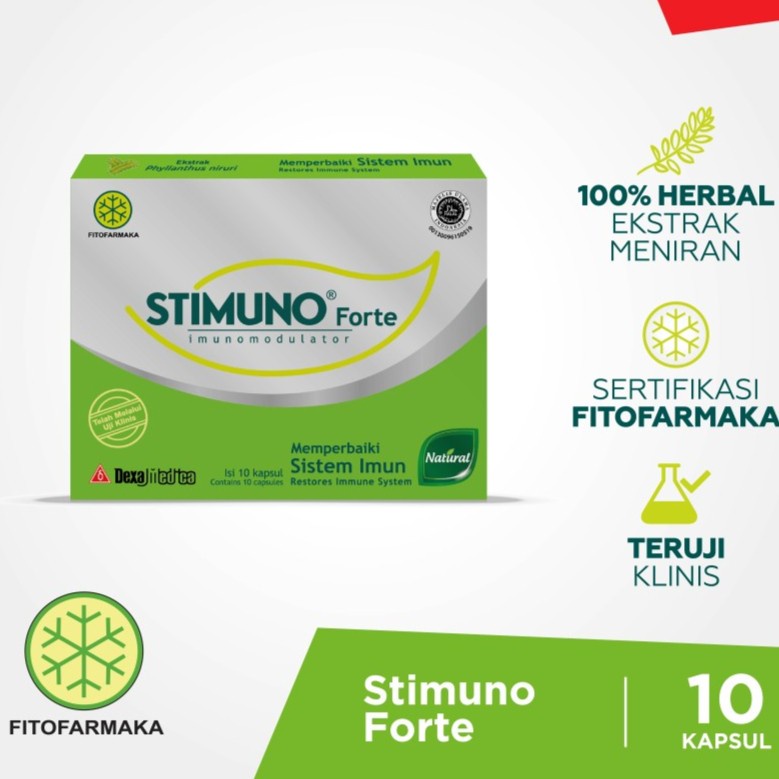 Jual Stimuno Forte Box Isi 10 Kapsul Imunomodulator Herbal Untuk Imun ...