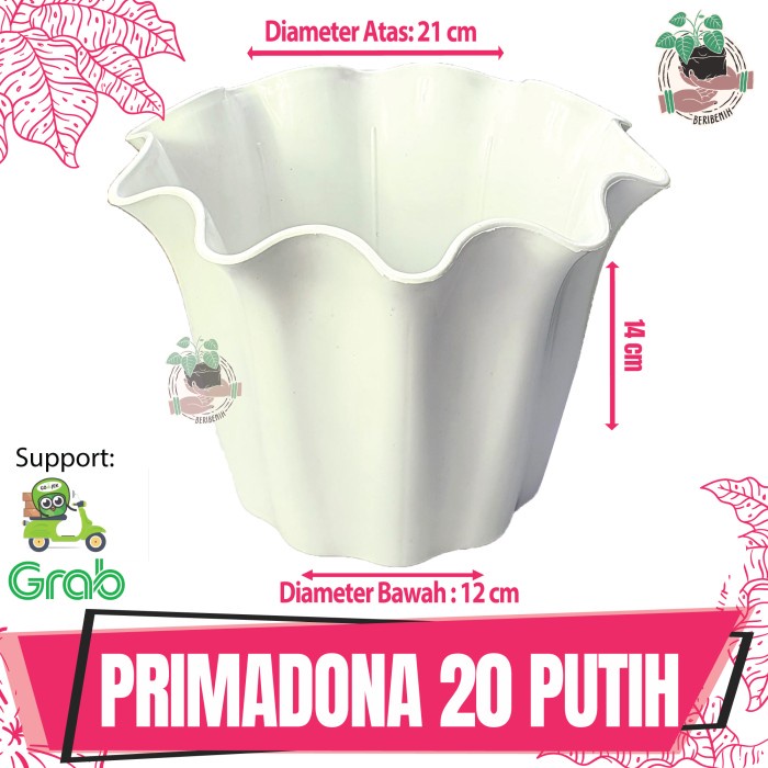 Jual Pot Bunga Tanaman Hias Shallom Primadona Putih Motif Kembang Tebal ...