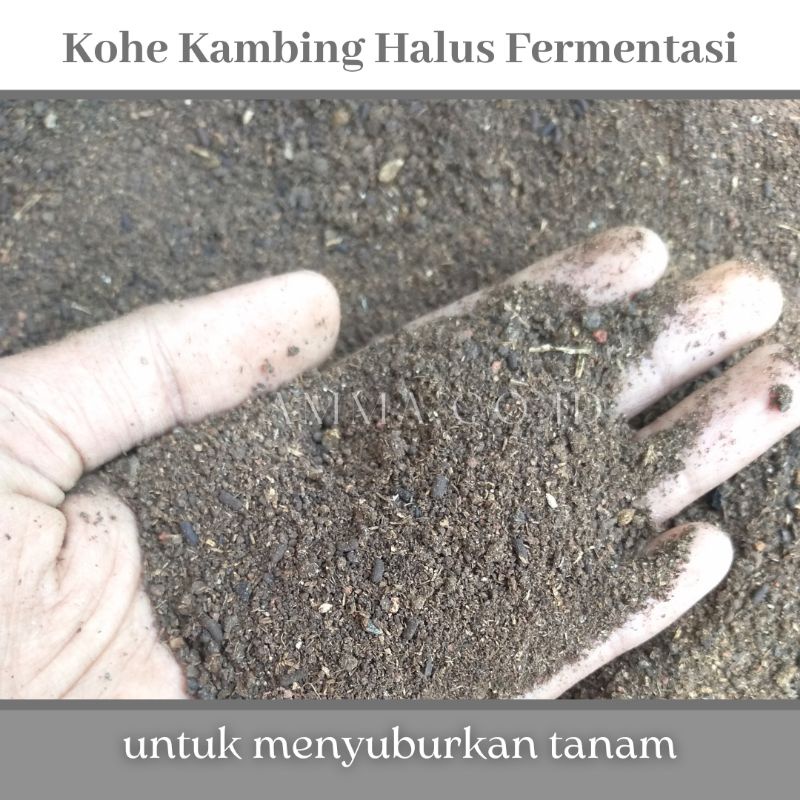 Jual pupuk kompos organik kohe kambing halus fermentasi campuran media ...