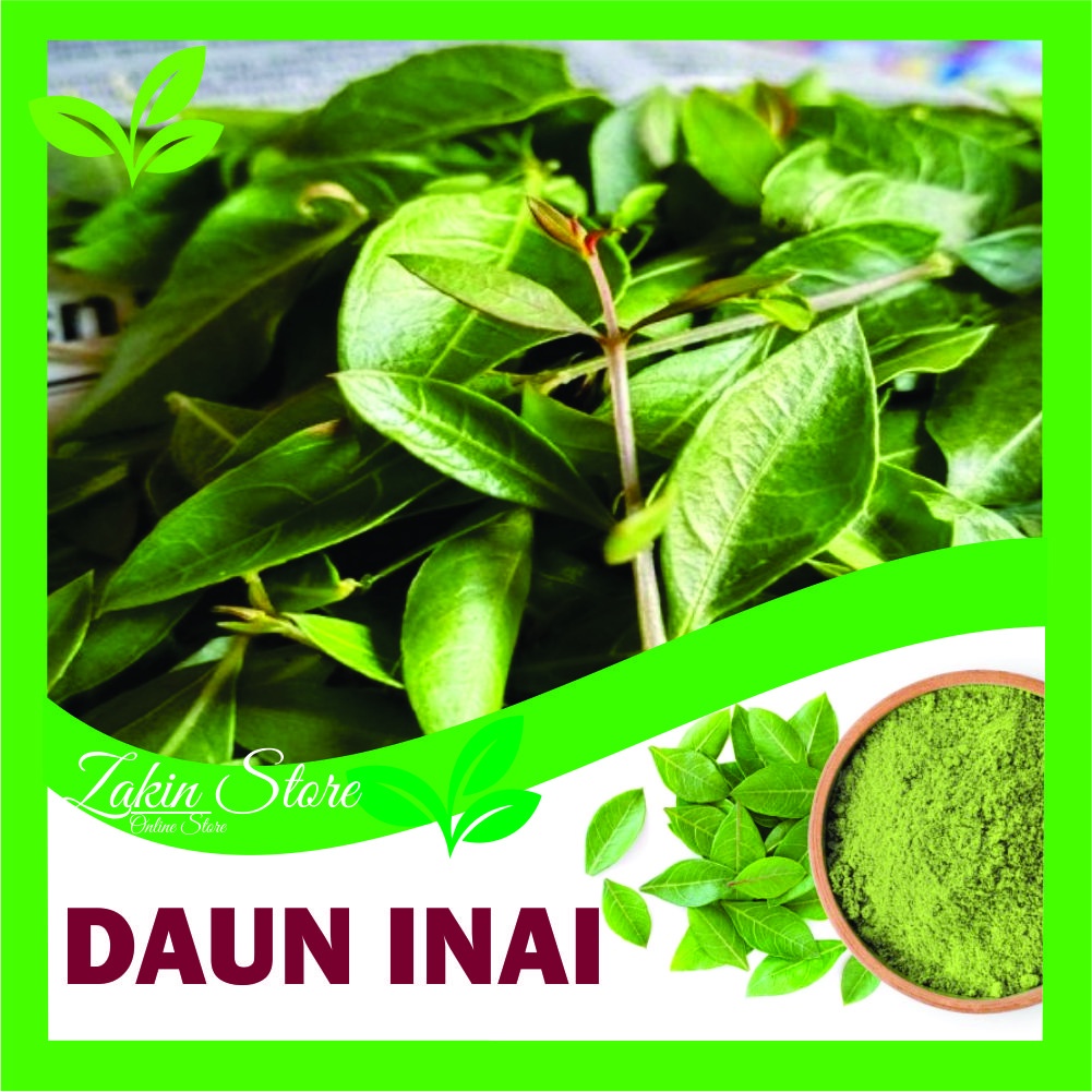Jual Daun Pacar / Daun Henna Segar / Daun Pacar Arab / daun inai ...