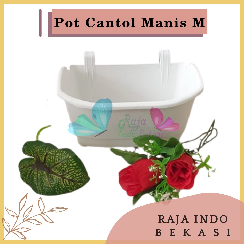Jual Pot CANTOL TEMPEL TIP M Putih Hitam Merah BataTerracota Terracotta ...