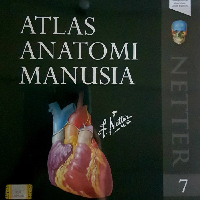 Jual Buku Kedokteran [ Original ] Atlas Anatomi Manusia Edisi 7 - Frank H Netter | Shopee Indonesia