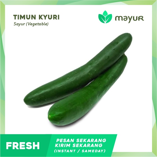 Jual Timun Kyuri (1 pcs | 500 g | 1 kg) | Shopee Indonesia
