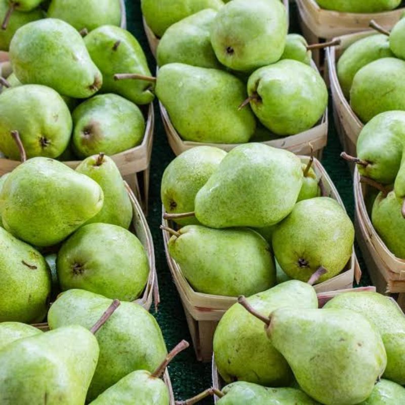 Jual pear jambu pir hijau 1kg | Shopee Indonesia