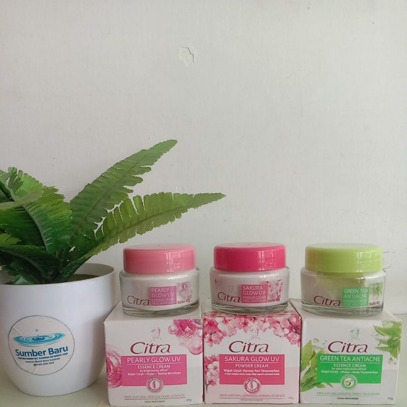 Jual CITRA /CITRA CREAM /CITRA PEARLY GLOW UV ESSENCE CREAM /CITRA ...
