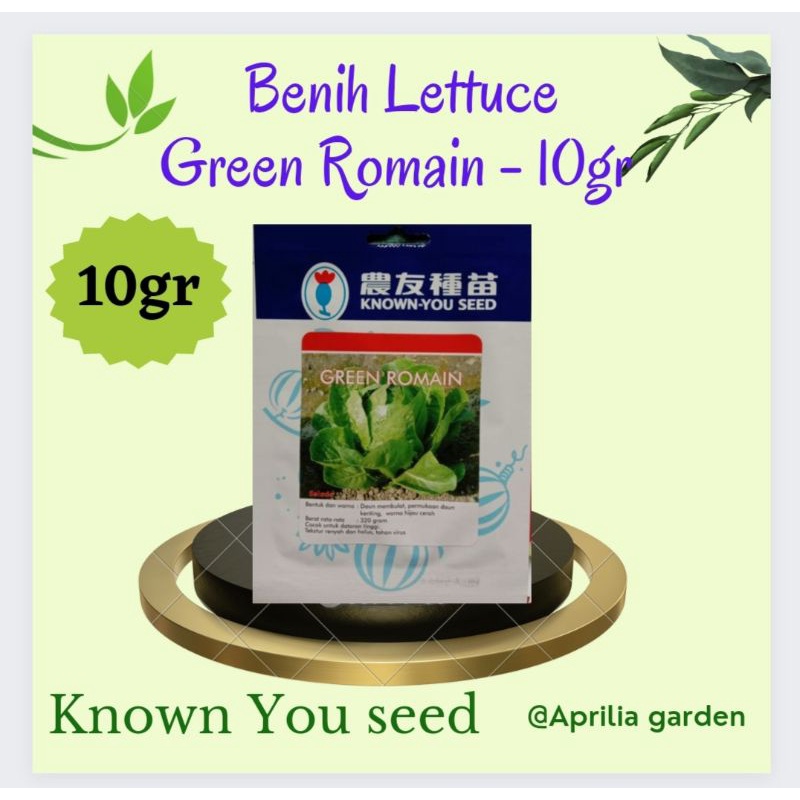 Jual Benih Selada Lettuce Green Romain 10gr Original Known You Seed | Shopee Indonesia