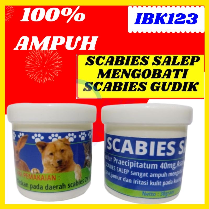 Jual SALEP SCABIES JAMUR 30 GRAM OBAT JAMUR KUCING ANJING KELINCI AMPUH ...