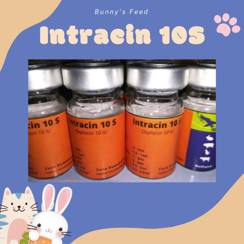 Jual Intracin 10S (Oxytocin) 5 ml - Memperlancar Kelahiran Hewan Betina ...