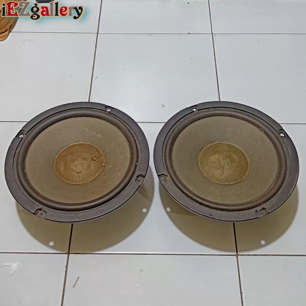 Jual Speaker woofer tamon 10 inch buildup normal original harga ...