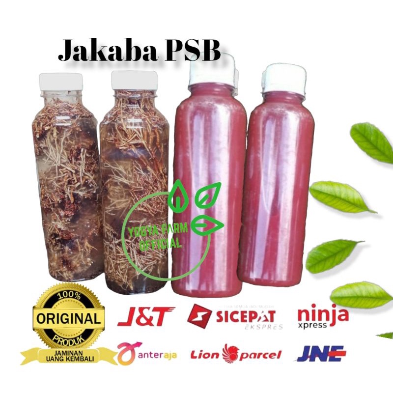 Jual Paket Pupuk Organik Cair Jakaba Plus PSB 4 botol ml | Shopee Indonesia