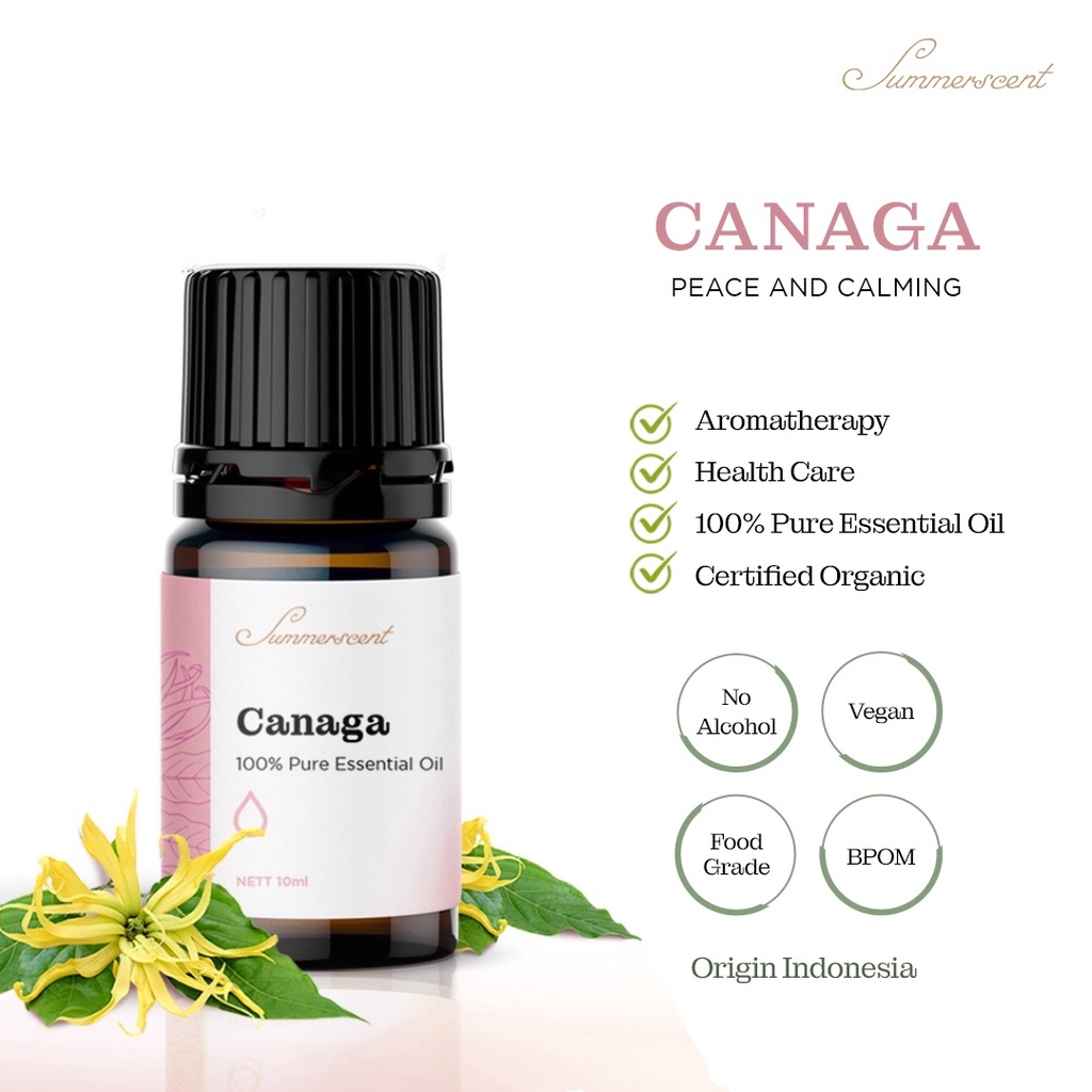 Jual Summercent Essential Oil CANAGA 100% PURE Therapeutic Grade ...