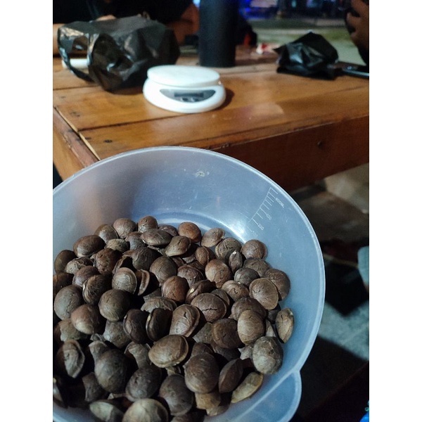 Jual Sacha Inci,kacang bintang, kacang inka | Shopee Indonesia Jual Sacha Inci,kacang bintang, kacang inka | Shopee Indonesia