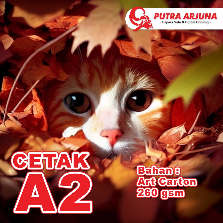 Jual CETAK A2, ART CARTON, 260 GSM, 1 SISI - SATU MUKA | Shopee Indonesia