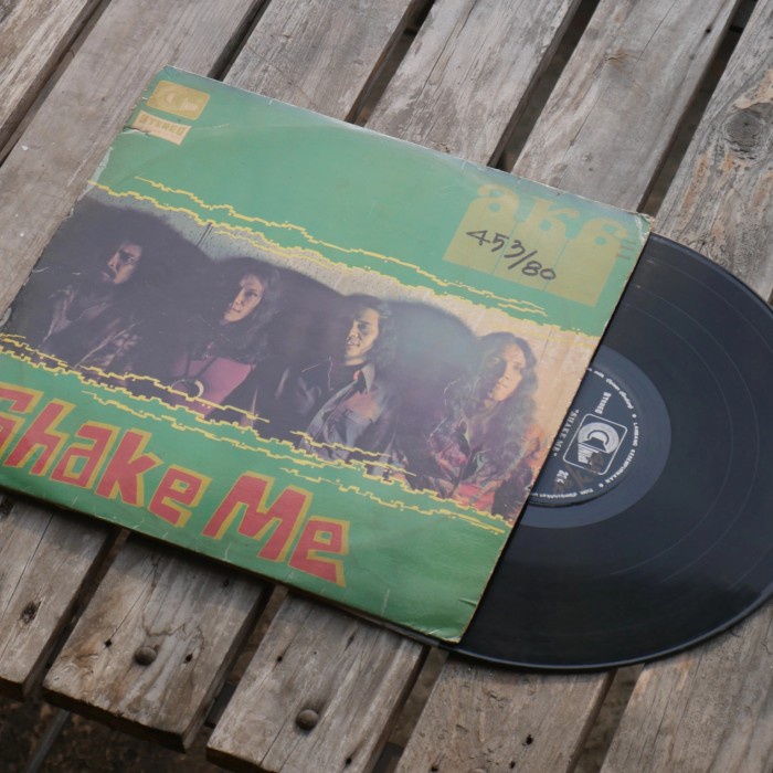 Jual Piringan Hitam AKA Group album Shake Me | Shopee Indonesia