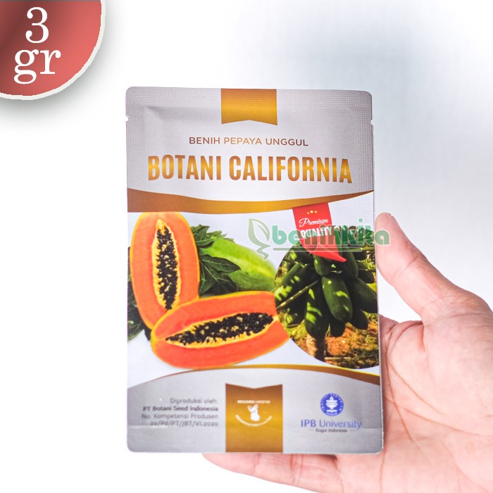 Jual Benih/Bibit Pepaya Calina (California) IPB 9 150 butir (Botani ...