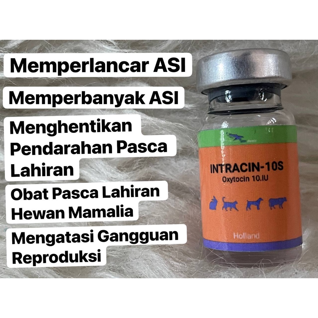 Jual INTRACIN 10S (Pengganti Oxytocin 10) Hormon Kontraksi Uterus Kelenjar Susu Hewan Pelancar ...