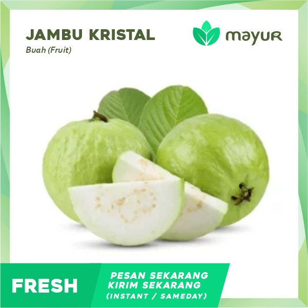 Jual Jambu Kristal (1 pcs | 500 g ) | Shopee Indonesia