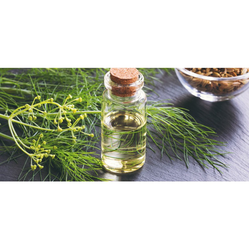 Jual Minyak Essensial Minyak Adas / Fennel 100% Murni Ukuran 10ml ...