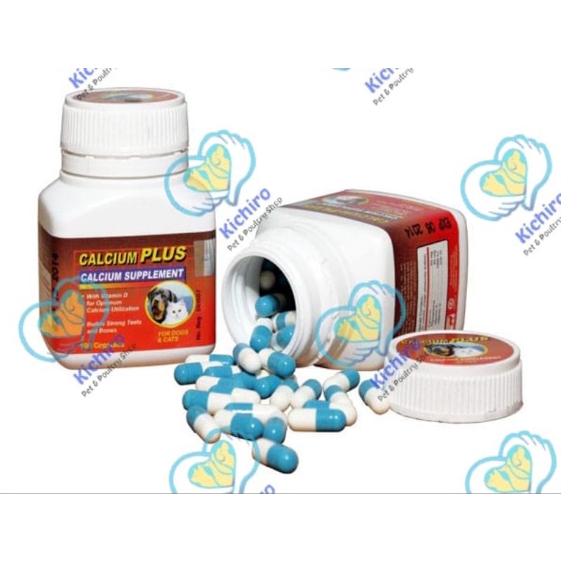 Jual Calcium Plus isi 100 Kapsul Raid All Calcium Supplement Anjing ...