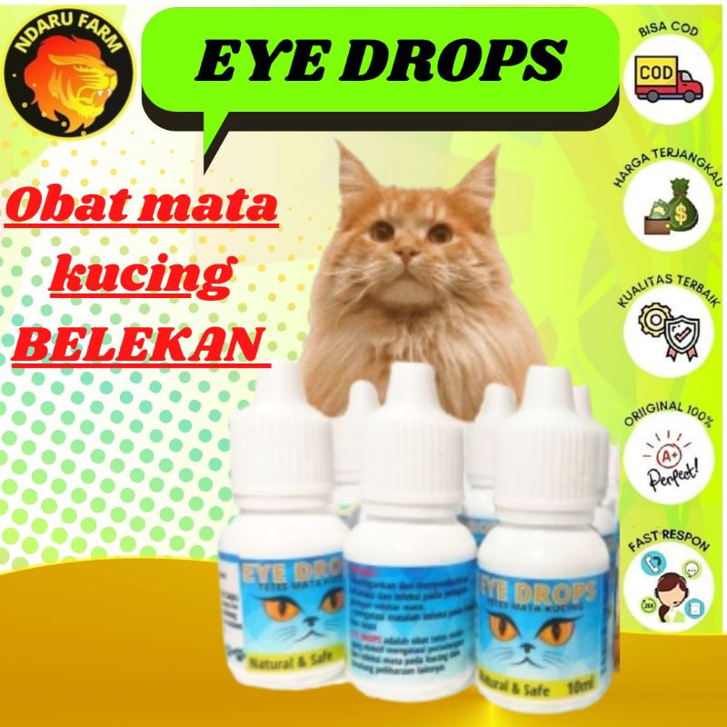 Jual OBAT TETES MATA KUCING EYE DROPS adalah obat tetes mata yang ...
