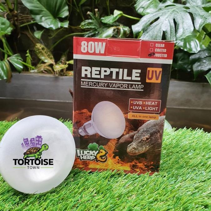 Jual LAMPU UVA UVB MERCURY VAPOR LAMP 80W LUCKY HERP MIRIP SOLAR GLO | Shopee Indonesia