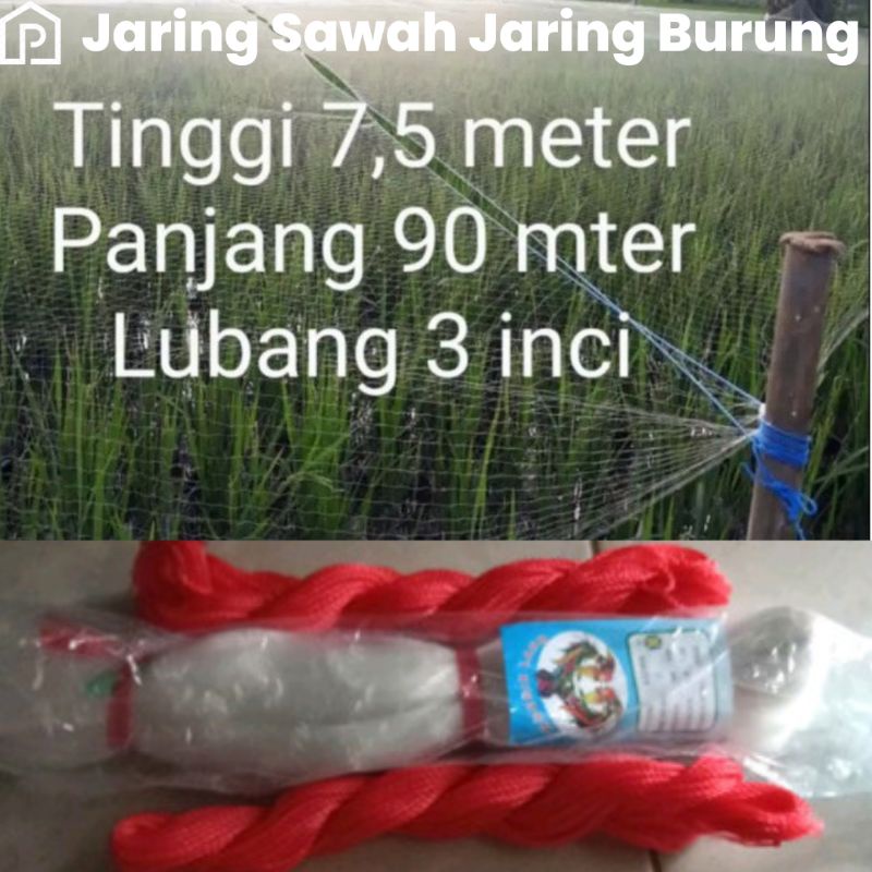 Jual Jaring Burung Jaring Sawah Pengaman Padi | Shopee Indonesia