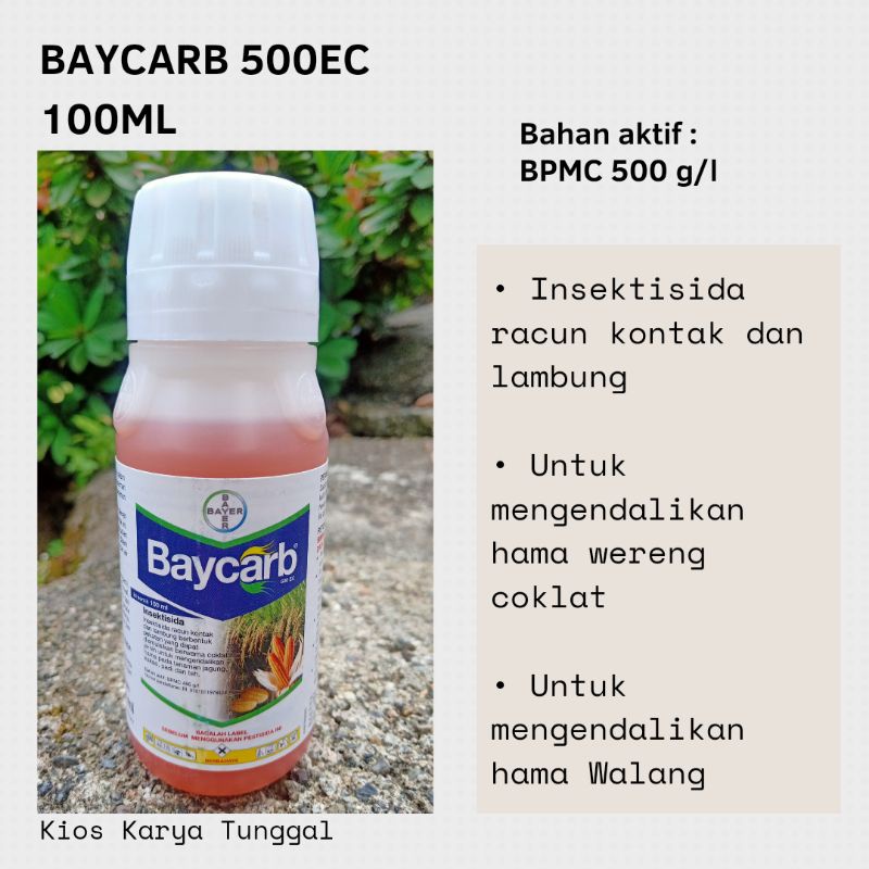 Jual Insektisida baycarb 500 EC bahan aktif BPMC 500g/l racun wereng dan walang | Shopee Indonesia