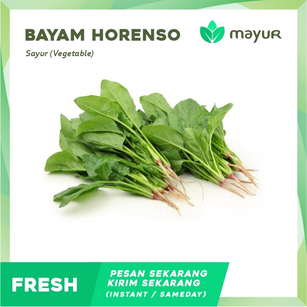 Jual Bayam Horenzo / Bayam Jepang (250 gram) | Shopee Indonesia