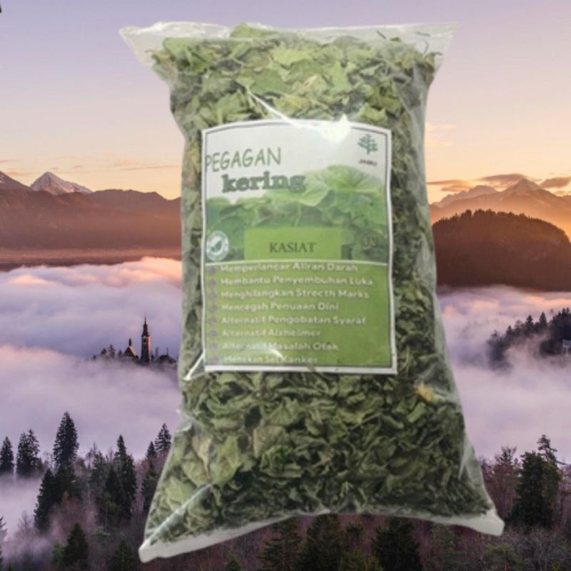 Jual Daun pegagan kering antanan kering tanpa akar batang pegagan merah ...