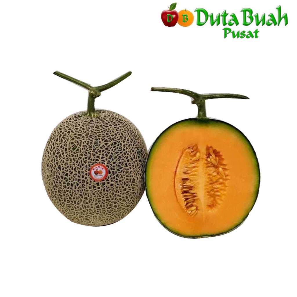 Jual DUTA BUAH Melon Red Sweet Sakata (+-0.8gram-1.5kg/buah) | Shopee ...