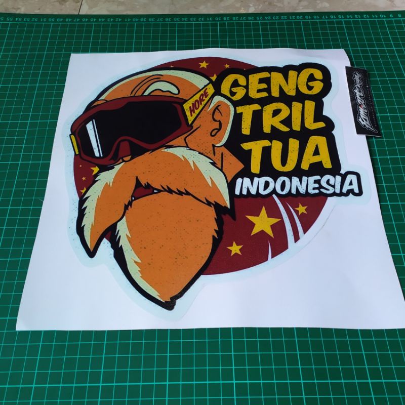 Jual Sticker GTT Geng Tril Tua Edisi Jin Kura-kura, Print UV (size ...
