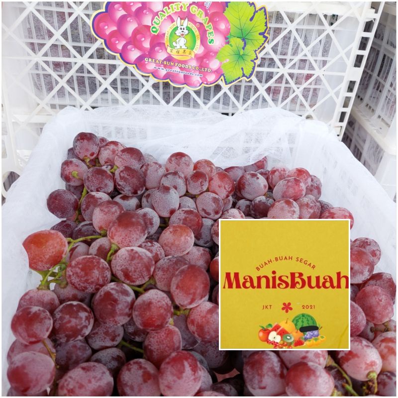 Jual Red globe fresh/anggur merah buah | Shopee Indonesia