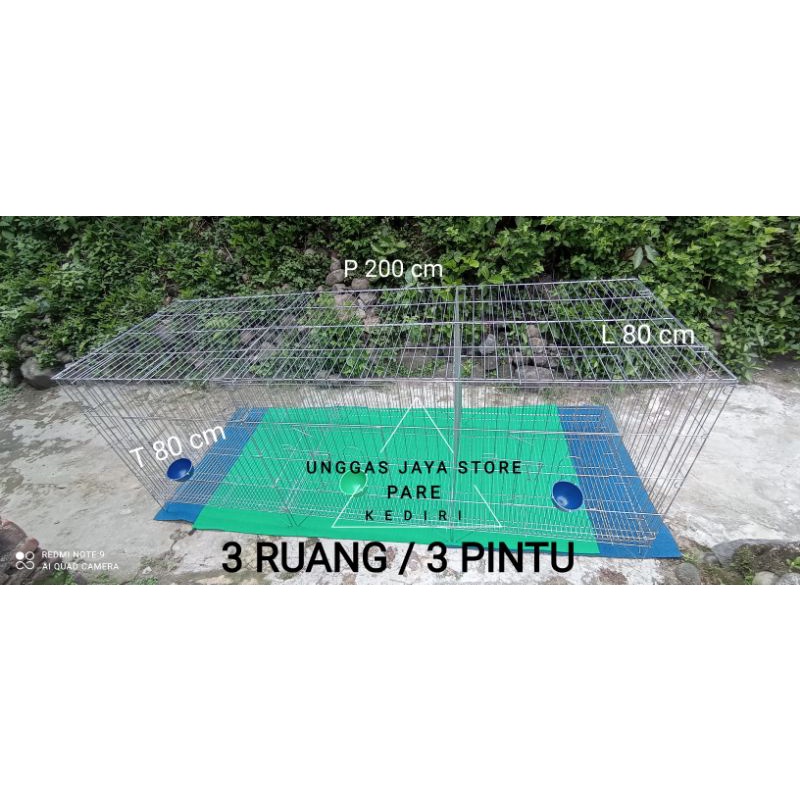 Jual KANDANG BOX DOC AYAM | Shopee Indonesia